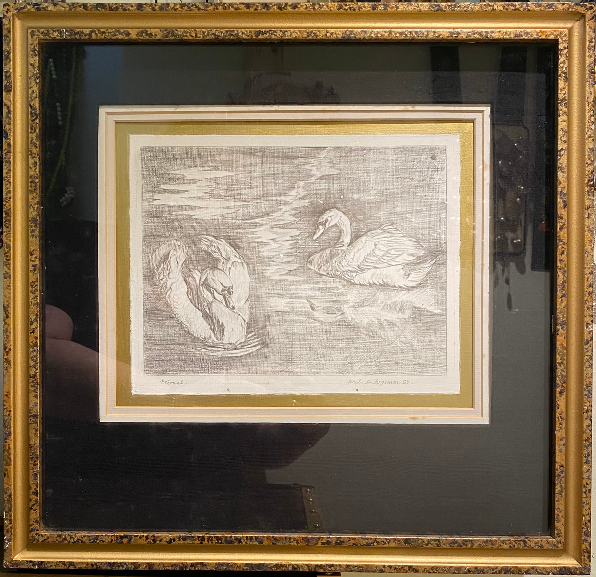 Eternal by Paul O Jorgenson features courting swans – Tresors Sydney